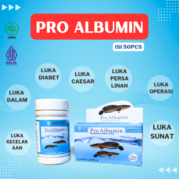 Pro Albumin Kapsul Ekstrak Ikan Gabus Kutuk Obat Pra Operasi Cesar Sesar Isi 50 | Lazada Indonesia