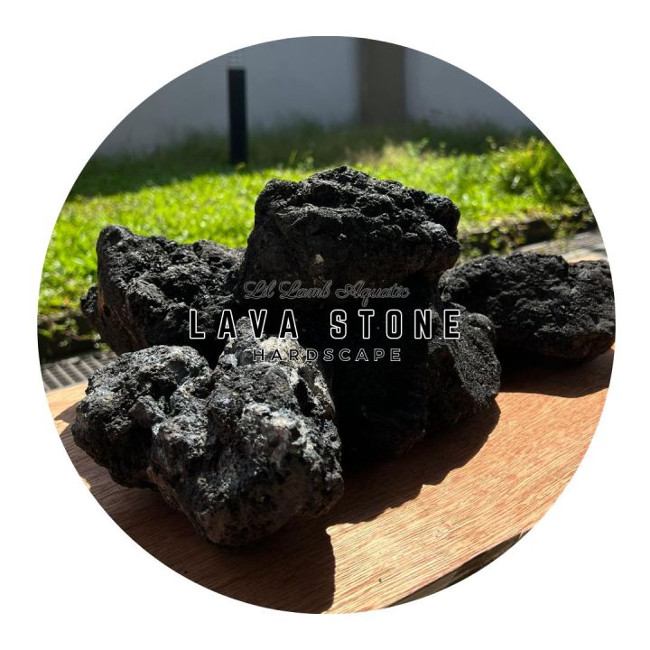 [Hardscape] Big Lava Stone 1KG Premium Volcanic Dark Rock Black Inert ...