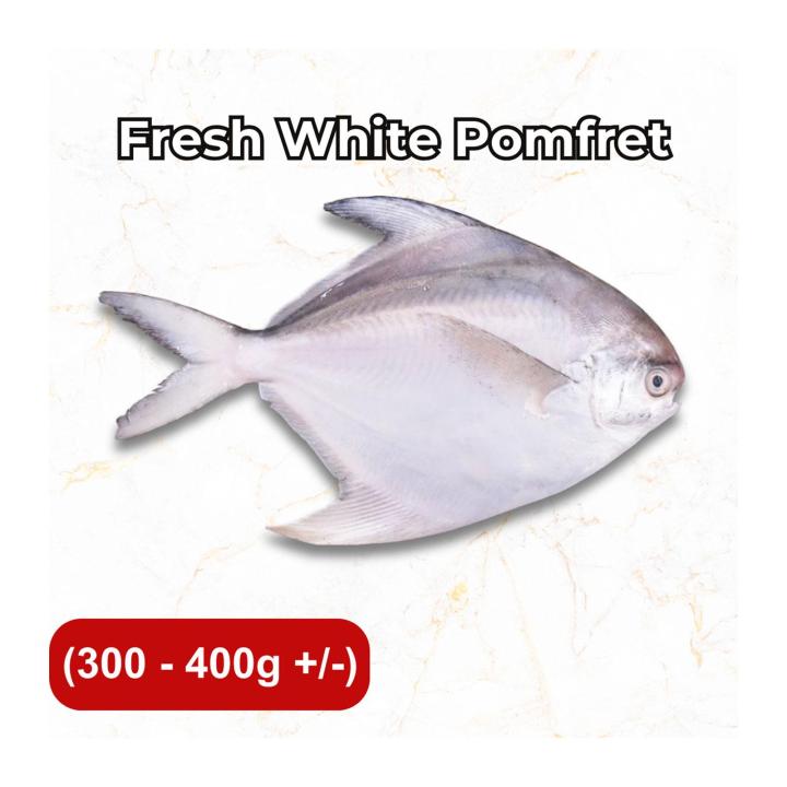 Pan Royal Fresh White Pomfret - Cleaned And Gutted | Lazada Singapore