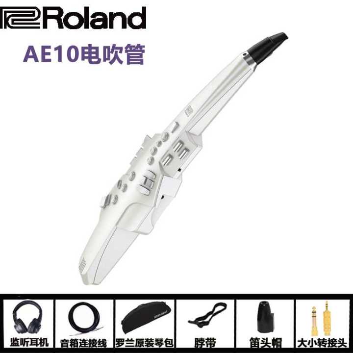 Authentic ROLAND electric wind instrument AE-05 AE-10 AE01 adult ...