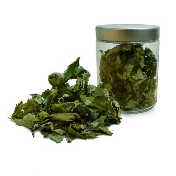 simplisia daun murbei 1 kg | Lazada Indonesia