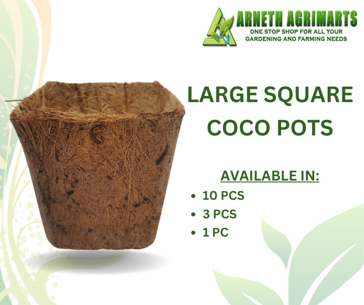 LARGE SQUARE COCO POTS (4.5 INCH) | Lazada PH