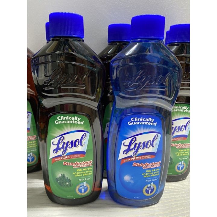 disinfectant spray Lysol Liquid Disinfectant Concentrate - Fresh Scent Pine Scent 500ml | Lazada PH