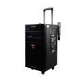 Platinum Karaoke PK-10 Built-in Karaoke Trolley Speaker with 21,000 ...