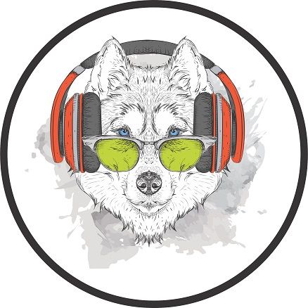 Miếng dán PPF bảo vệ mặt đồng hồ xe WINNER X V3 2022 2023 - HONDA ...