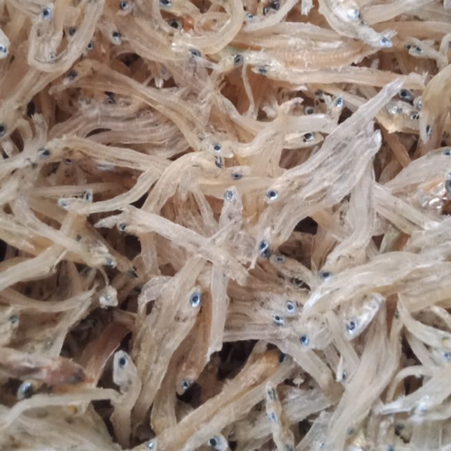 Dried Dulong/Tugnos from Roxas/Masbate - ¼ kilo. | Lazada PH