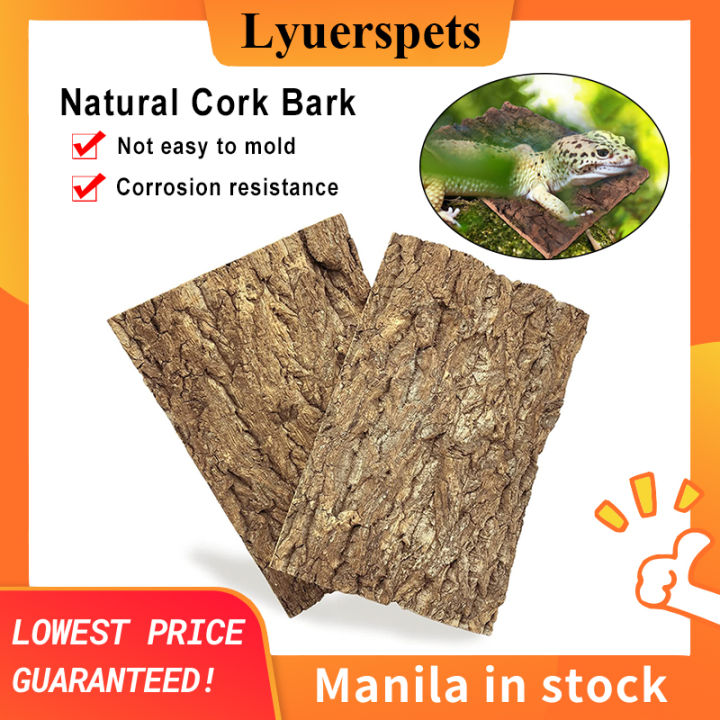 Champagne Cork Bark for Tarantula Chameleon Snake Reptile Climbing Wall ...