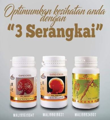 Gano Excel - Pack 3 Serangkai ( Ganoderma + Excellium + Sakanno ) | Lazada