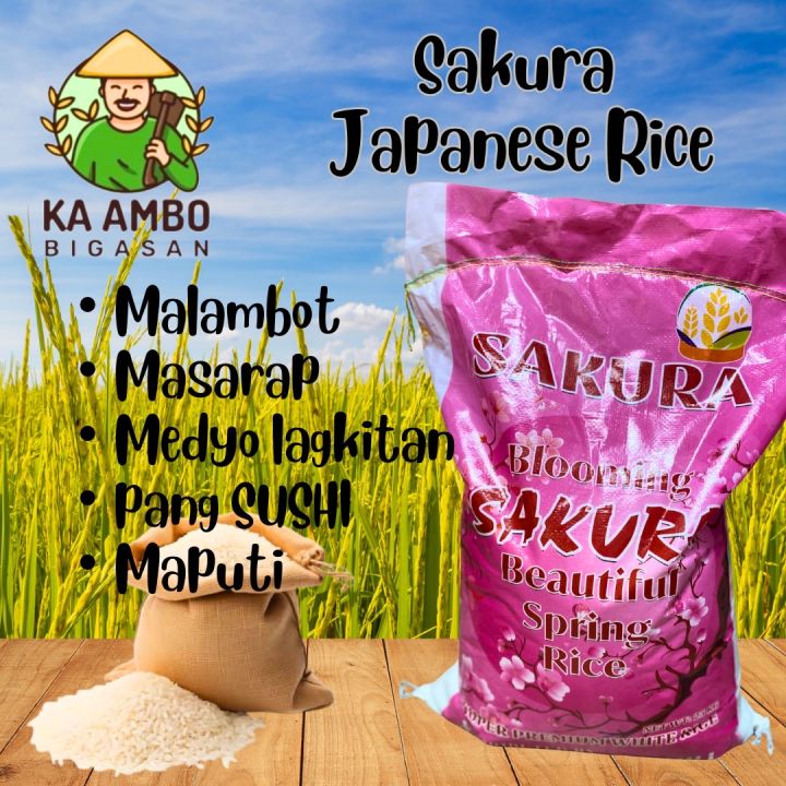 SAKURA JAPANESE RICE 25KG | Lazada PH