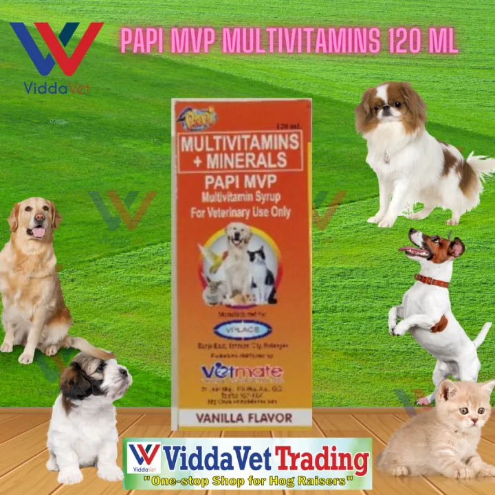 Papi MVP MultiVitamins Minerals Syrup 120ml Vanilla | Lazada PH