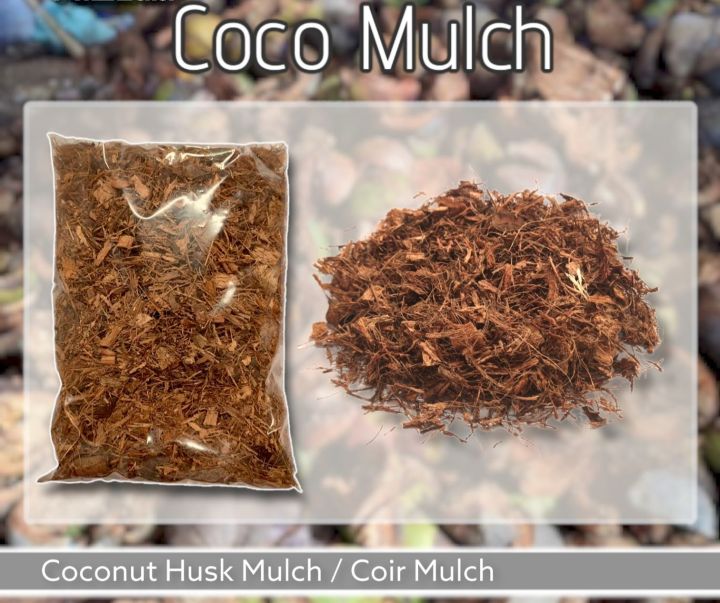 Coco Mulch 250g | Organic Coconut Husk (Coir) Mulch perfect for growing ...