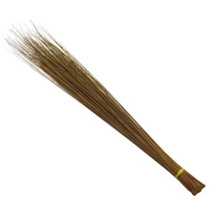 PENYAPU LIDI /OUTDOOR GARDEN BROOM | Lazada