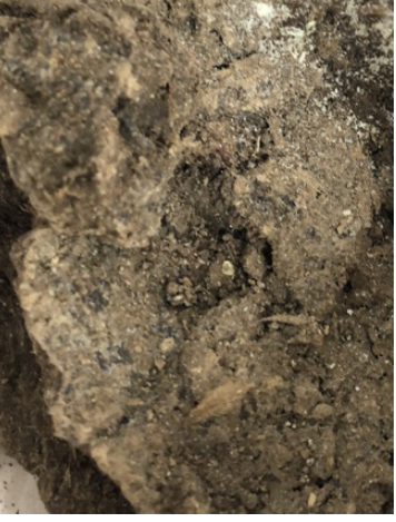 KAMANYANG frankincense 100 grams insenso | Lazada PH