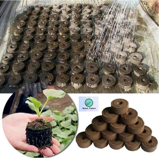 Pellet Pallet Seed Starting Plugs Seedling Soil Block Nutrition ...
