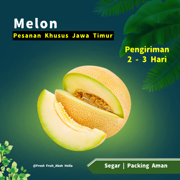 MELON | SEGAR | STOCK BARU | KECIL - BESAR | Lazada Indonesia