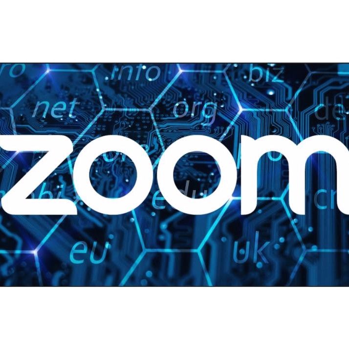 Zoom Pro Meeting Account [100/300/500 Participants] [Full Guarantee ...
