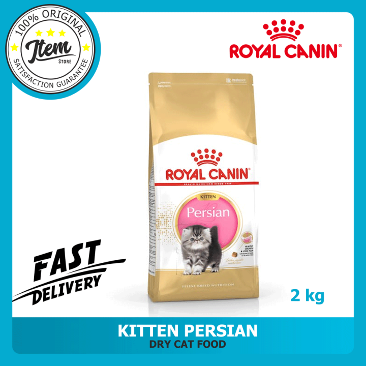 Royal canin persian kitten store