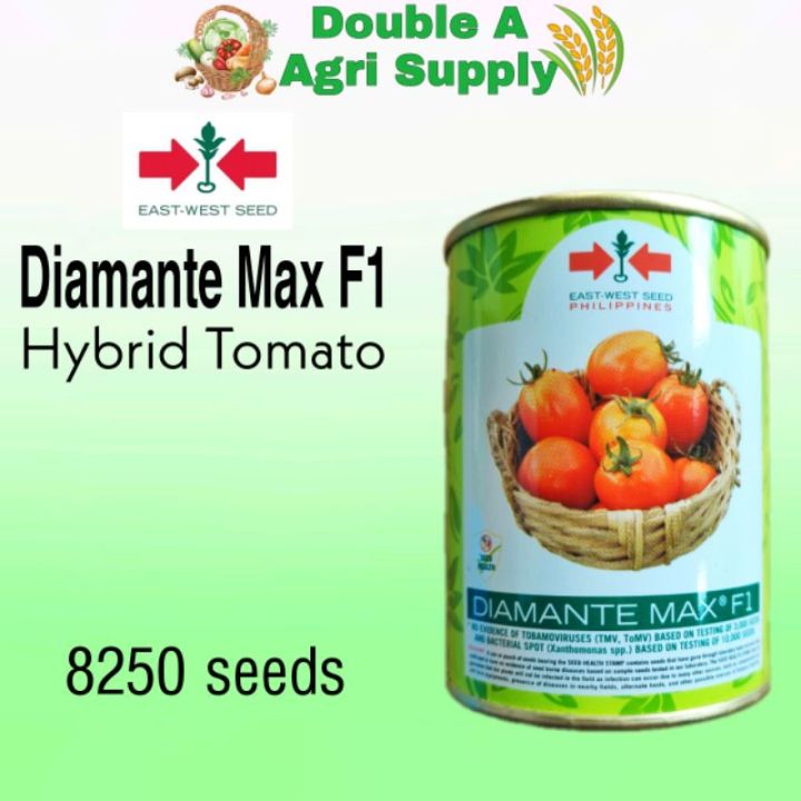 Diamante Max F1 Hybrid Tomato - East West Seed | Lazada PH