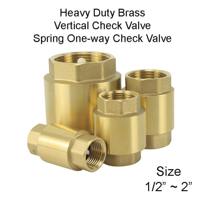 [ 1 UNIT ] Heavy Duty PN12 Brass Vertical Check Valve Spring One-way ...