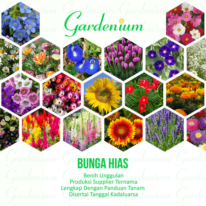 Macam Macam Benih Bunga Paktani | Lazada Indonesia