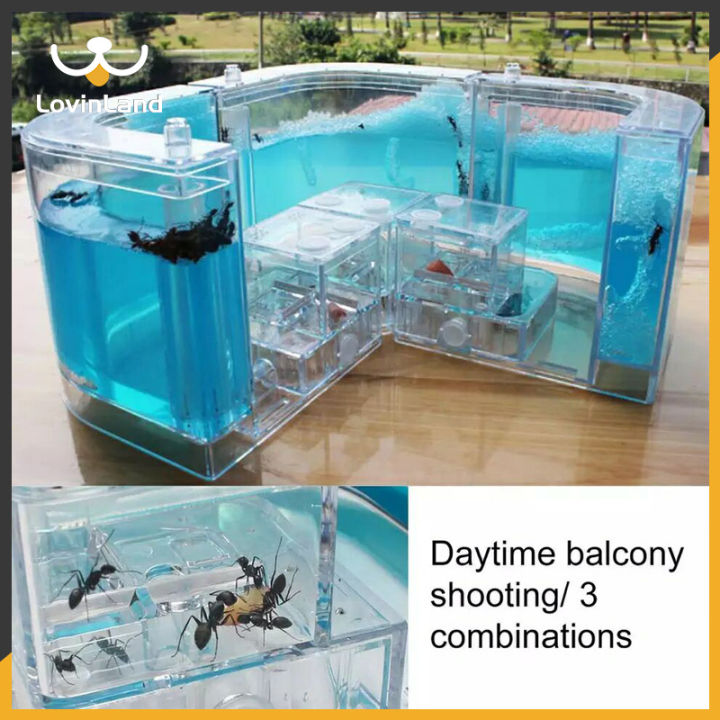 Lovinland Pet Ant Castle Ant Villa Home Castle Toys Science Toys ...