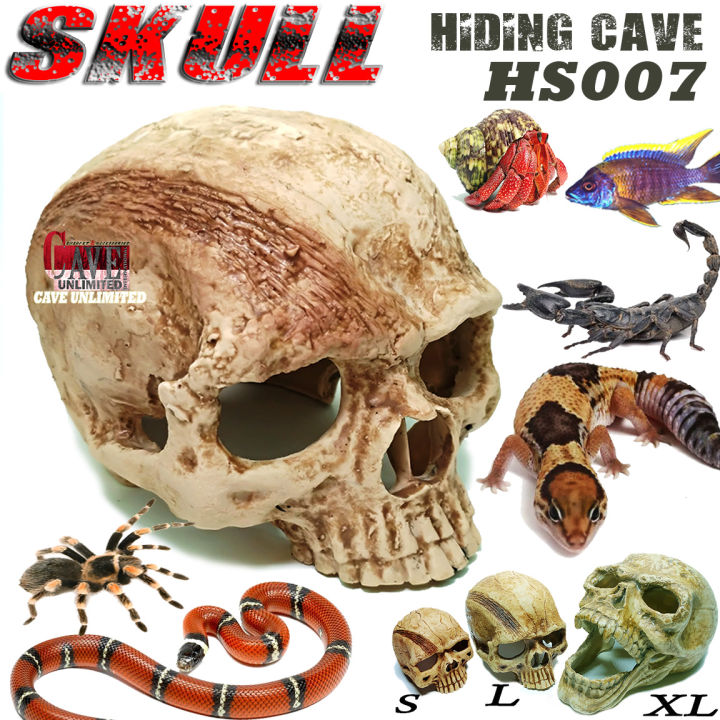 HS007 HIDING CAVE SKULL TENGKORAK SKELETON HIASAN AKSESORIS KANDANG ...