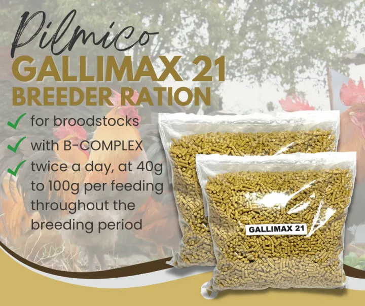 [FCR AGRIVET] 2kg Pilmico Gallimax 21 Breeder Ration for Gamefowl ...