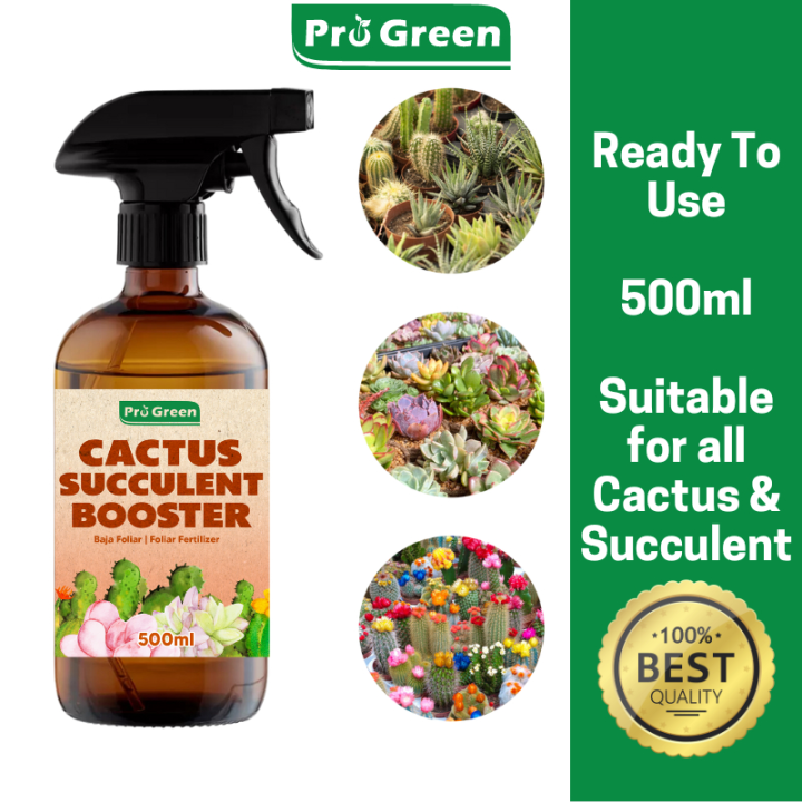 Cactus & Succulent Foliar Fertilizer / Baja Foliar Kaktus & Sukulen ...