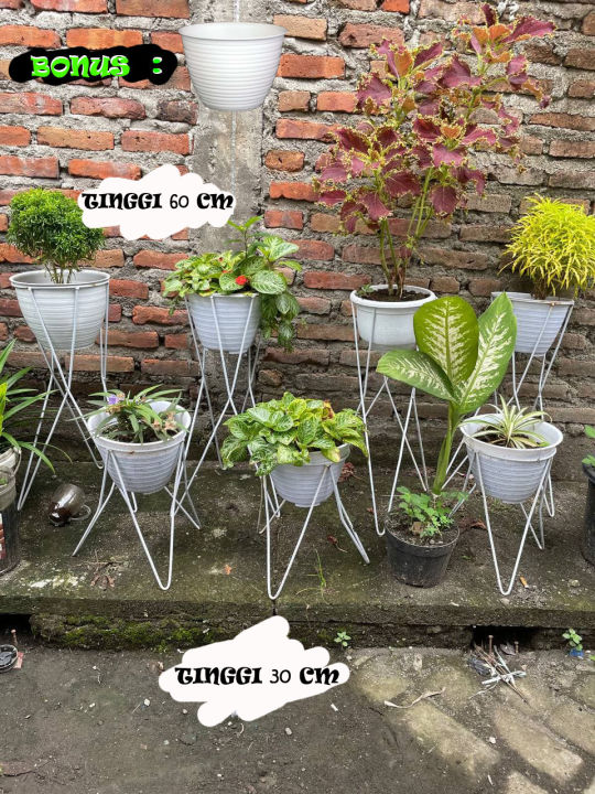 STANDING RAK POT TUNGGAL / STANDING RAK POT BESI HIAS / STANDING RAK ...