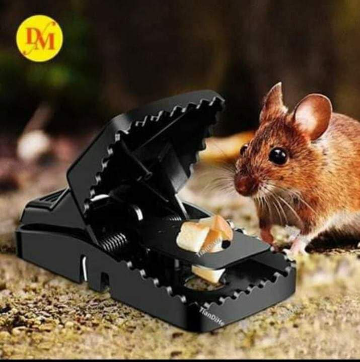 Traps Heavy Duty Snap Mouse Trap-Easy Catcher Mice Kit/ RBS Mouse Rat ...
