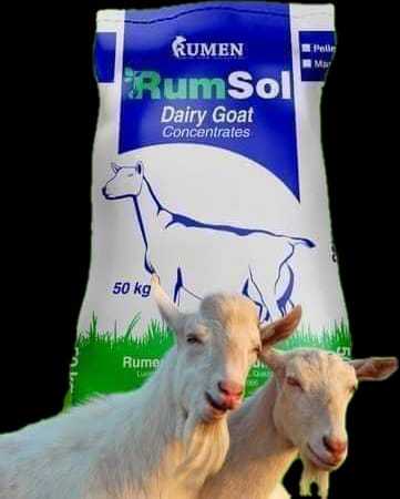 Rumsol Dairy Goat Concentrate (repacked 1 kilo) | Lazada PH
