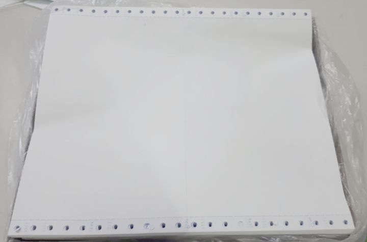 2 Ply Carbonless Continuous Form 9.5 x 5.5 - All White | Lazada PH
