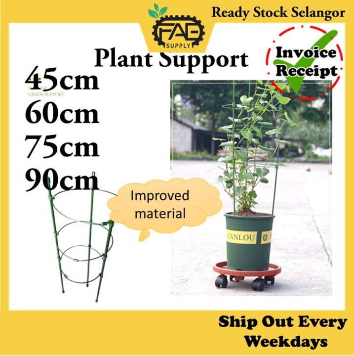 Conical Trellis Plant Support Frame Gardening Flower Stand tomato Vine ...