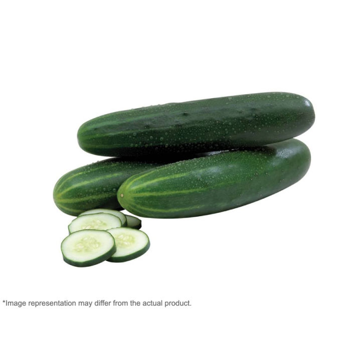 Cucumber (500-600g) | Lazada PH