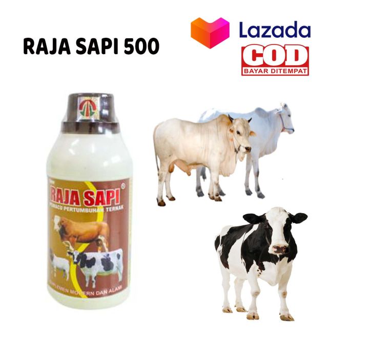 Obat Vitamin Sapi RAJA SAPI 500 Ml Penggemuk Pemacu Pertumbuhan Ternak ...