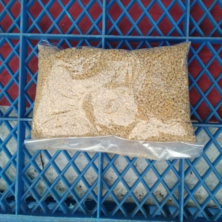 Pakan Ayam Pur Anak Ayam Cepat Besar Layer ( Berat 250 gram ) Hayam ...