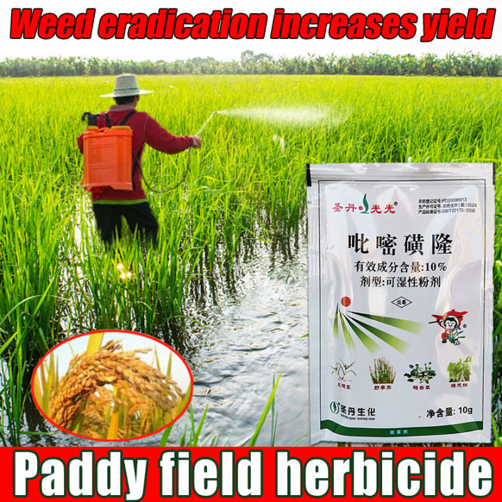 ff Herbicide for rice 10g rice herbicide It can effectively kill weeds in rice fields without ...