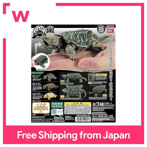 Kame03 3 kinds [Full Combo] Gacha Gacha | Lazada PH