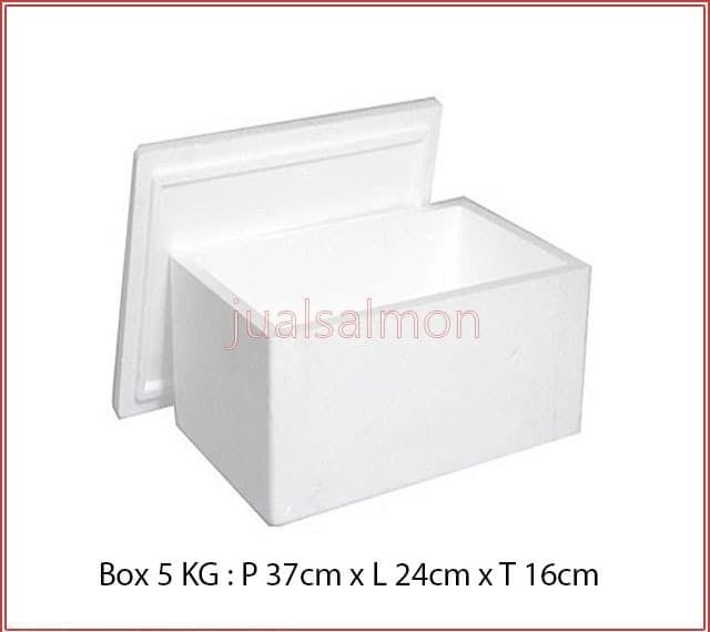 Styrofoam Box 5kg Size P. 37cm L. 24cm T. 16cm/Fish coller/ Box ...