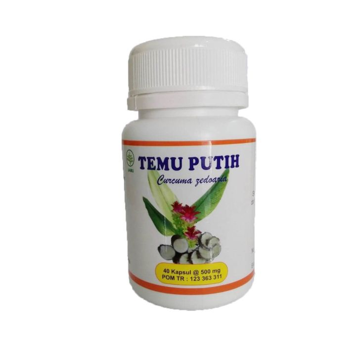 Temu Putih Herbal Insani 40 Kapsul Obat Herbal Tradisonal Untuk Kanker ... Temu Putih Herbal Insani 40 Kapsul Obat Herbal Tradisonal Untuk Kanker ...