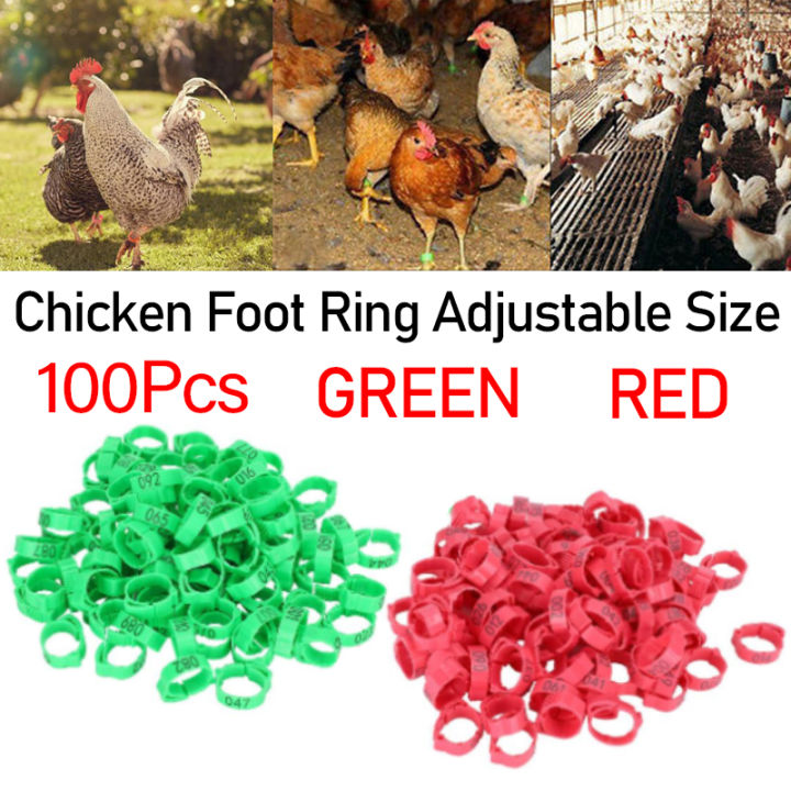 100pcs Chicken Foot Ring Adjustable Size Poultry Leg Digital Label ...