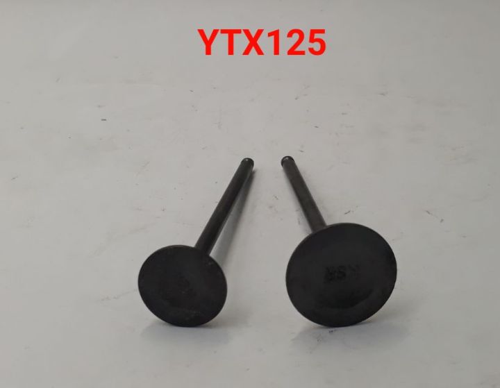 ENGINE VALVE SET (INTAKE AND EXHAUST) YTX 125 | Lazada PH