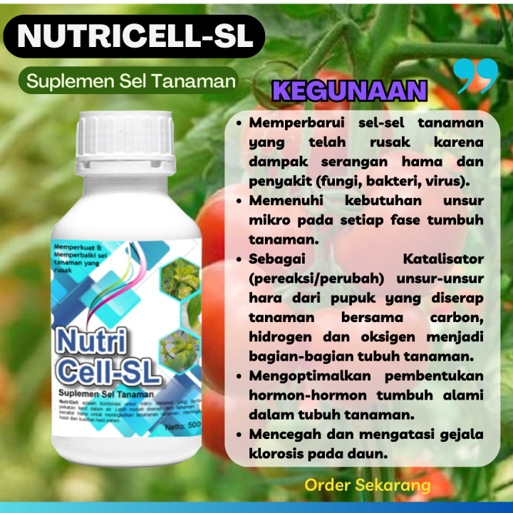 Nutricell SL 1 LIter Suplemen Sel Tanaman Vitaron | Lazada Indonesia