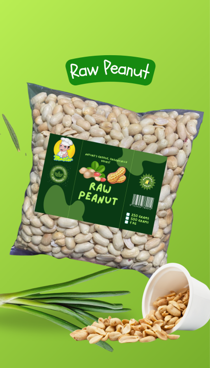 Raw Peanuts Skinless (250g, 500g, 1kg) | Lazada PH