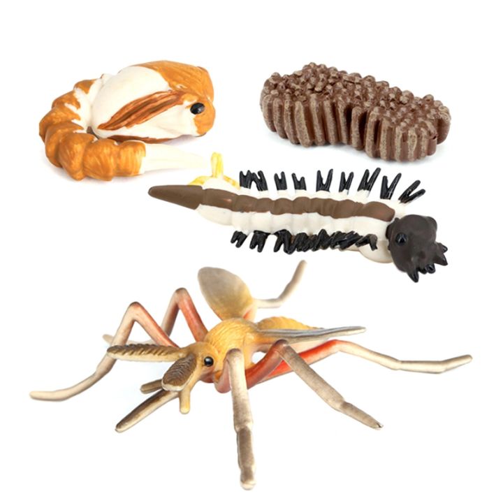Simulation Animals Growth Cycle Mosquito Insect Growth Cycle Model Kids ... Simulation Animals Growth Cycle Mosquito Insect Growth Cycle Model Kids ...