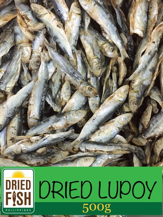 DFP Dried Lupoy 500grams | Lazada PH