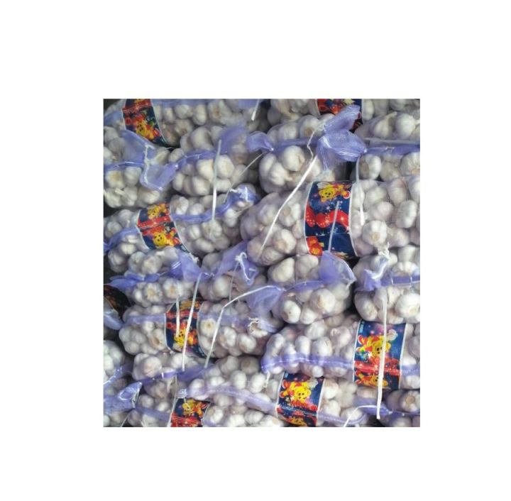 Bawang / Garlic | Lazada PH