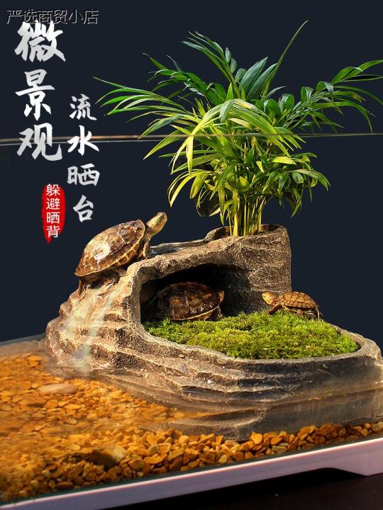 Turtle Deep Water Climbing Platform Turtle Tank Landscaping Turtle