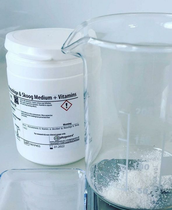 MS MEDIA 120g Murashige and Skoog plant growth medium cultivation of ...