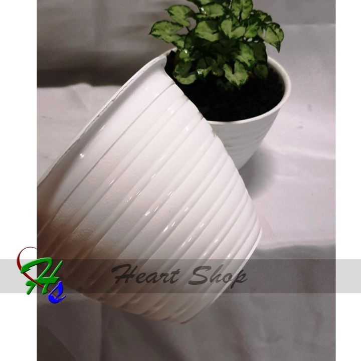 pot bunga No.10 / Pot plastik putih / Pot ukuran 10 / Pot 12 Buah / pot ...